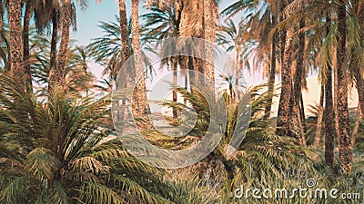 Palm Trees and the Sand Dunes in Oasis 3 Stock Video - Video of indian ...