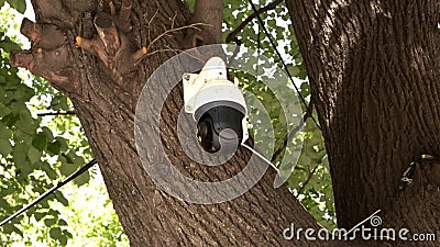 Panning Security CCTV Surveillance Camera Mounted on a Tree Stock Video ...