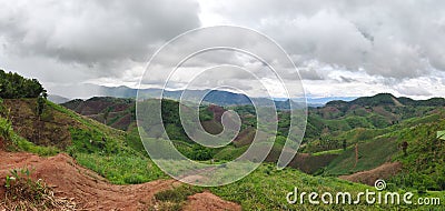 Panorama Of Rainforest Destroyed For Rice Field In Thailand ...