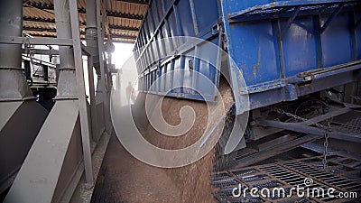 Panorama of Unloading Grain Trucks at Elevator on Elevating Hydraulic ...