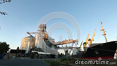 Panorama of Unloading Grain Trucks at Elevator on Elevating Hydraulic ...