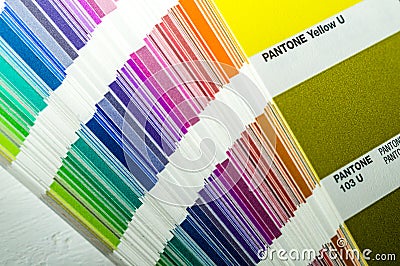 Pantone System. Color Samples. Color Palette. Cardboard Cards With A ...