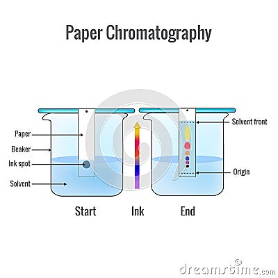 Paper Chromatography Analytical Method For The Separation Of A Mixture ...