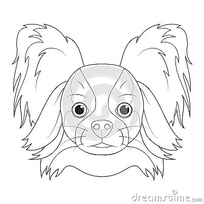 Papillon Dog Easy Coloring Cartoon Vector Illustration. Isolated On ...