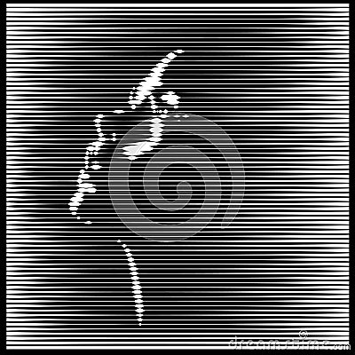 Parallel Line Art Face. Woman Portrait In Contrast Light. Vector ...