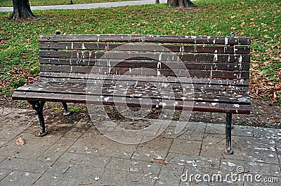 Park Bench Stock Photo - Image: 51491869