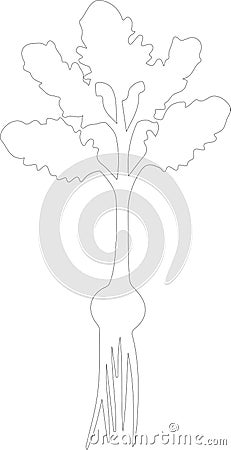 Parsnip Outline Silhouette Generative Ai Cartoon Vector | CartoonDealer ...