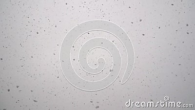 Particles of Ash Fall from the Sky Stock Video - Video of natural ...