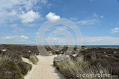 Path Through Sand Dunes, Studland Nature Reserve Stock Photography ...