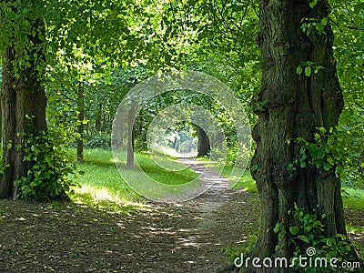 Walking path through park stock photo. Image of outdoors - 31673712