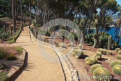 Pathway In A Botanical Garden Royalty-Free Stock Photo | CartoonDealer ...