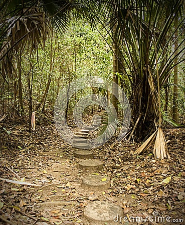 Pathway Into The Forest Stock Photo | CartoonDealer.com #10736544