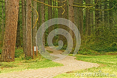 Pathway Into The Forest Royalty-Free Stock Photo | CartoonDealer.com ...