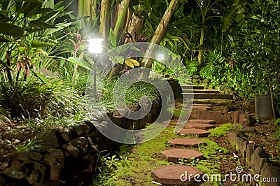 Pathway Stones In A Night Garden Stock Photography - Image: 18644342