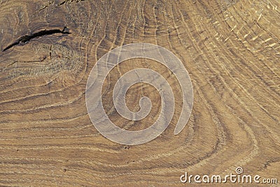 A Pattern Of Oak Wood. Wood Grain Texture. Cross Section Of A Tree ...