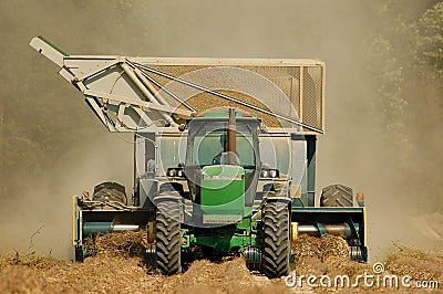 Peanut Harvest Stock Photography - Image: 1530932