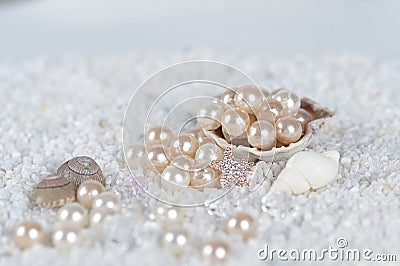 Pearls In The Sea Shell Stock Photo - Image: 43425544