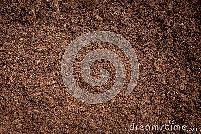 Peat Moss Soil Stock Photo - Image: 41301916