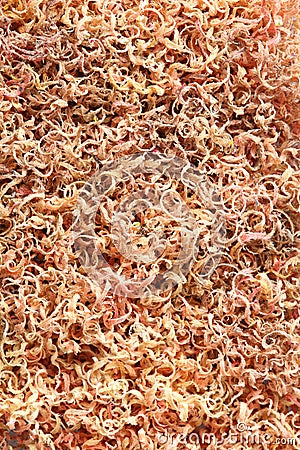 Pencil Dust Royalty Free Stock Photography - Image: 30840967