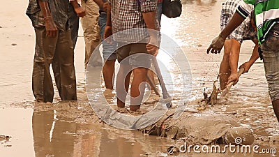 People Preparing for Mud Bathing Nature Field Spa Stock Footage - Video ...