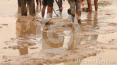 People Preparing for Mud Bathing Nature Field Spa Stock Footage - Video ...
