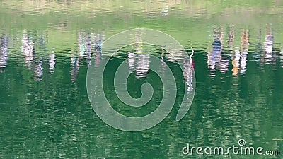 People Reflected in the Surface of Lake Stock Video - Video of grunge ...
