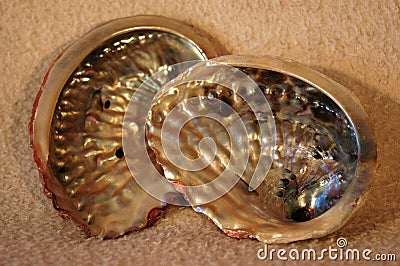 Paua Food Photos - Free & Royalty-Free Stock Photos from Dreamstime