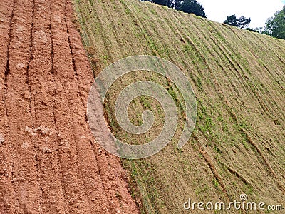 Permanent Slope Protection Using The Close Turfing Method To Prevent ...