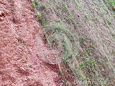 Permanent Slope Protection Using The Close Turfing Method To Prevent ...