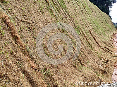 Permanent Slope Protection Using The Close Turfing Method To Prevent ...