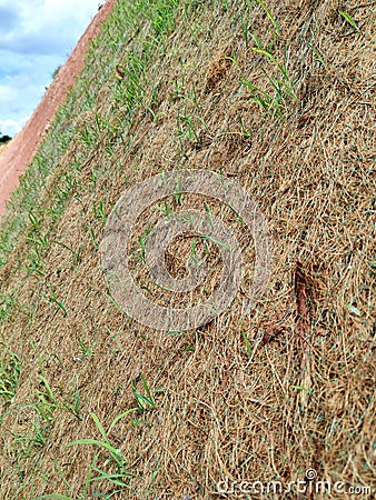 Permanent Slope Protection Using The Close Turfing Method To Prevent ...