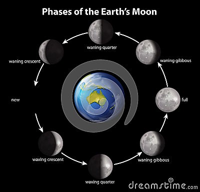 Phases Of The Earth's Moon Stock Vector - Image: 47066488