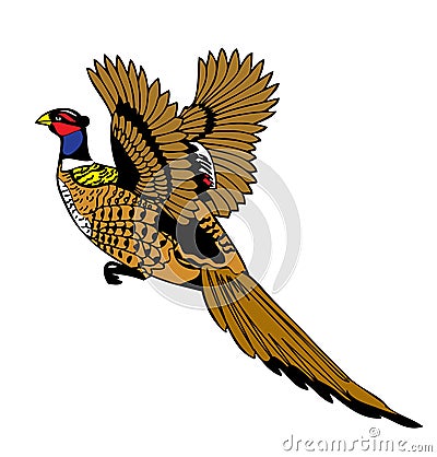 Pheasant Bird Flying Up Stock Images - Image: 17068884