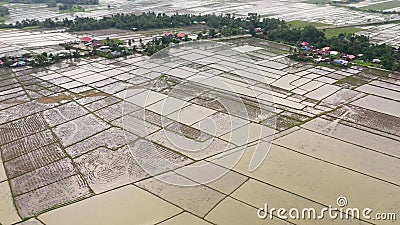 Philippine Village and Rice Fields Flooded with Water. Stock Video ...