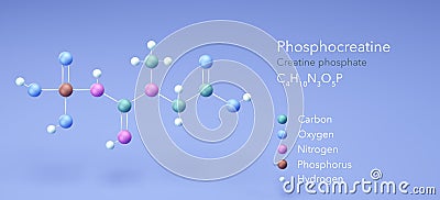 Phosphocreatine, Creatine Phosphate, Molecular Structures, 3d Model ...