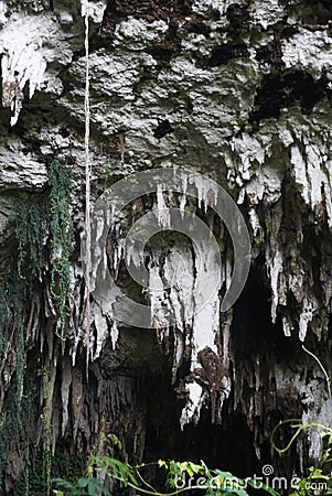 A Photo Of The White Rock Cliffs In The Cave That Form Neatly Lined ...