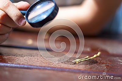 The Picture Creation Of Fire By Means Of Magnifying Glass, The Sun A ...