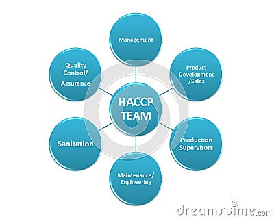 The Picture Is Show The Member Of The HACCP Team Style 1 Stock ...