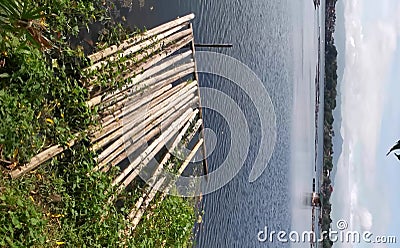 Pile of Bamboo Pole Materials for Making Raft Dumped on the Lake Shore ...