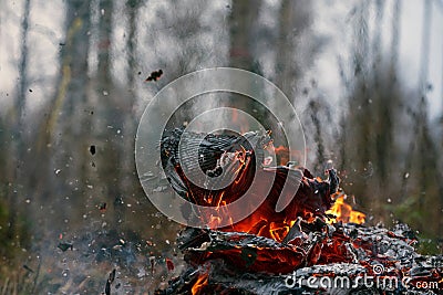 Pile Of Burning Cardboard And Waste Paper Royalty-Free Stock Photo ...