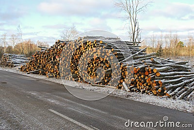 Pile Of Tree Trunks By The Roadside. Royalty-Free Stock Image ...