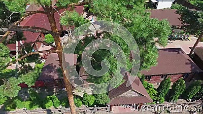 Elevation of Pine. Horizon Behind Pine. Stock Video - Video of stone ...