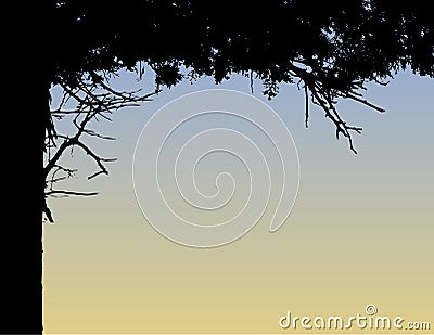Pine Tree Border Background Royalty Free Stock Photography - Image: 5635537