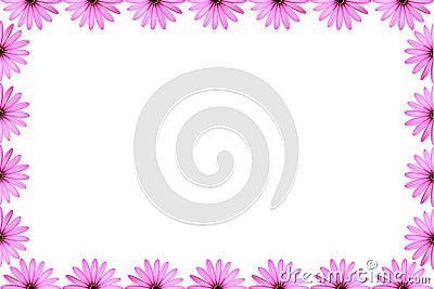 Pink Daisy Frame Stock Images - Image: 26783384