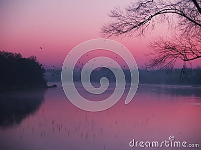 Pink Morning Stock Images - Image: 1780644