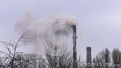 Pipe Factory with Thick Smoke through the Trees. Stock Video - Video of ...
