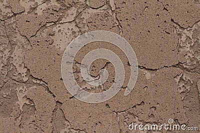 Pitted Wall Texture Stock Image | CartoonDealer.com #100690177