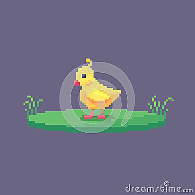 Pixel Art Chick. Farm Animal For Game Design Vector Illustration ...