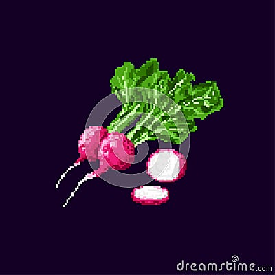 Pixel-art Radish. A Slice Of Radish And Whole Radish On Blue Background ...