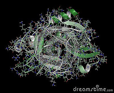 Plasma Kallikrein Enzyme Molecule Royalty-Free Stock Image ...